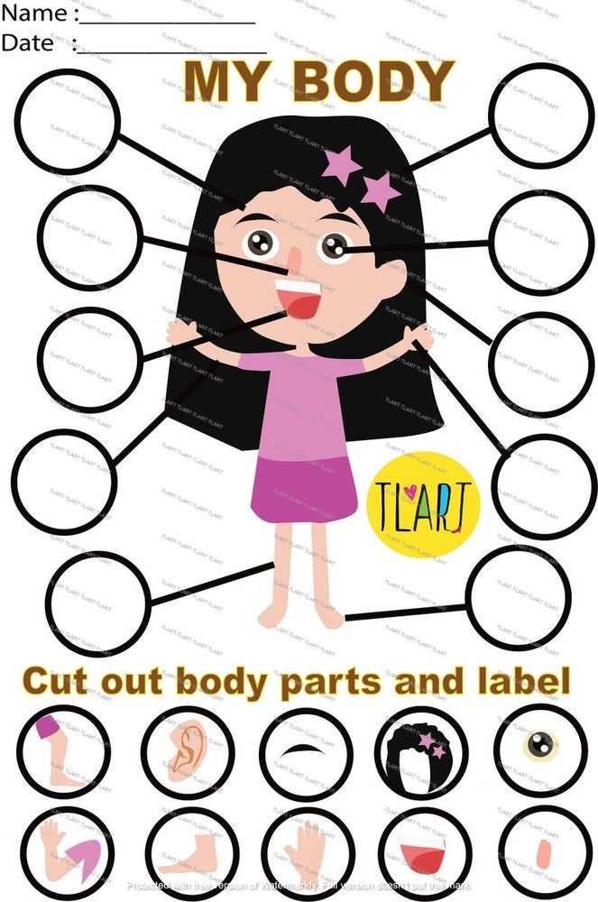 My Body Parts Labelling Activity, Early Year, Nursery, KS1, Teaching ...