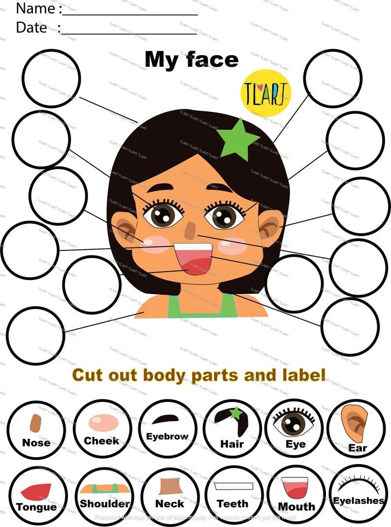 My Face Parts Labelling Activity, Early Year, Nursery, KS1, Teaching ...