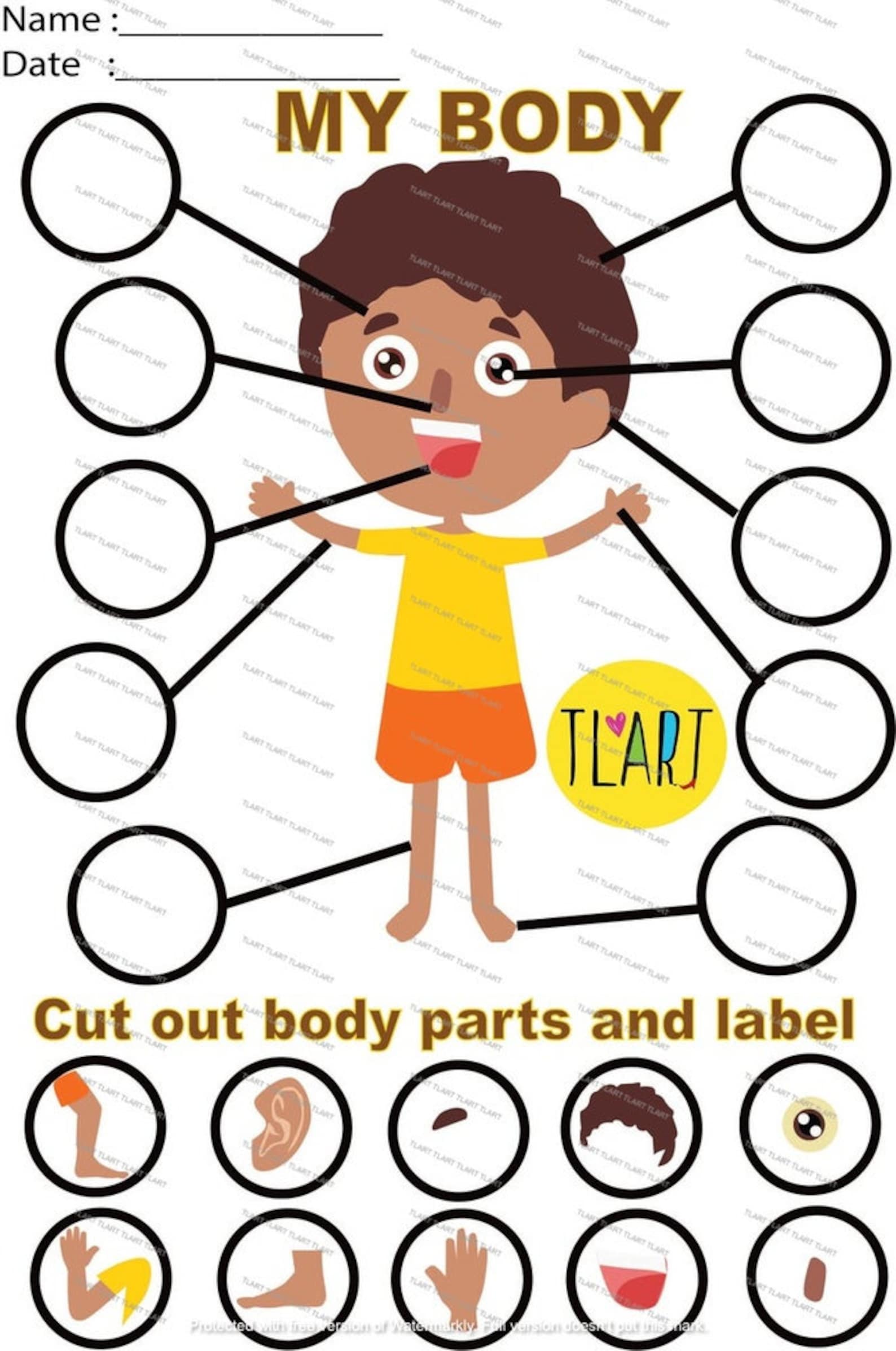 My Body Parts Labelling Activity, Early Year, Nursery, KS1, Teaching ...