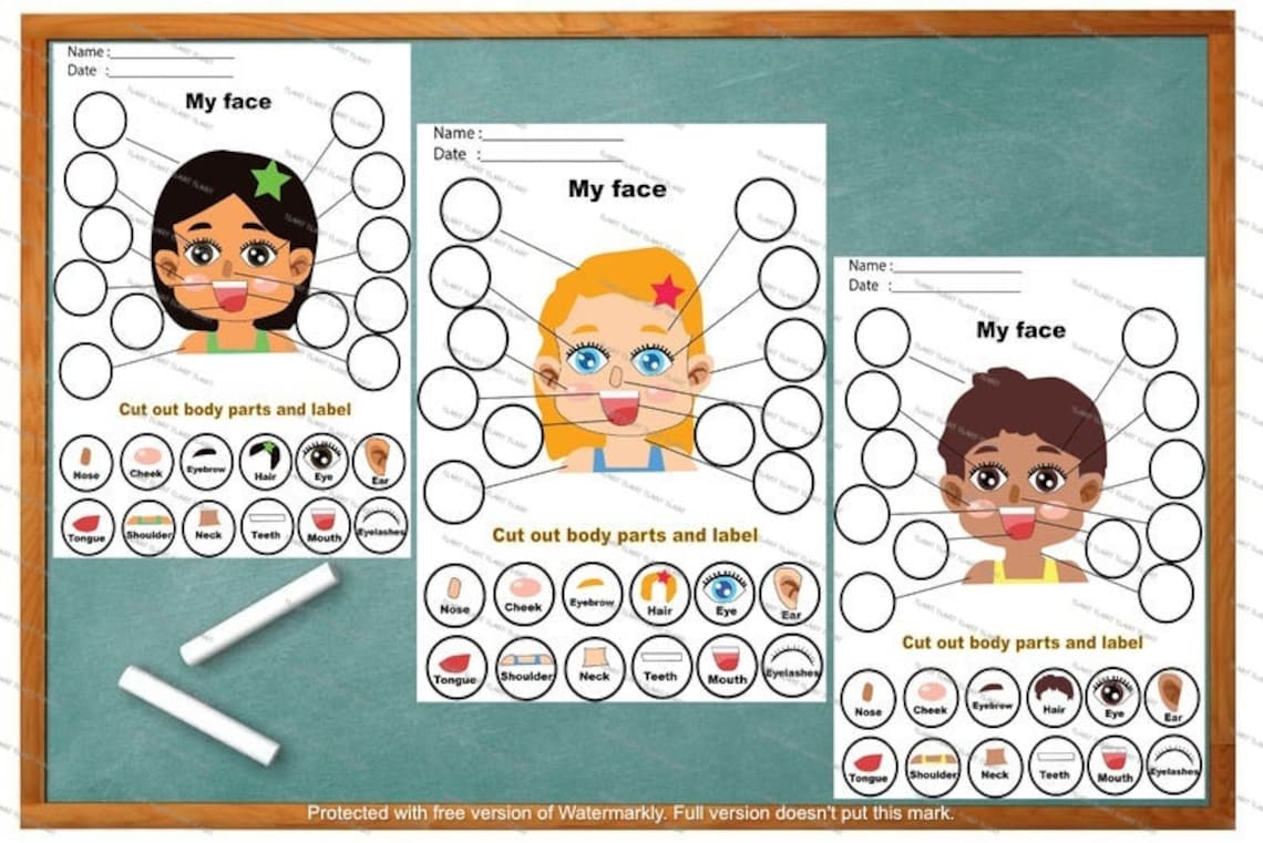 My Face Parts Labelling Activity, Early Year, Nursery, KS1, Teaching ...