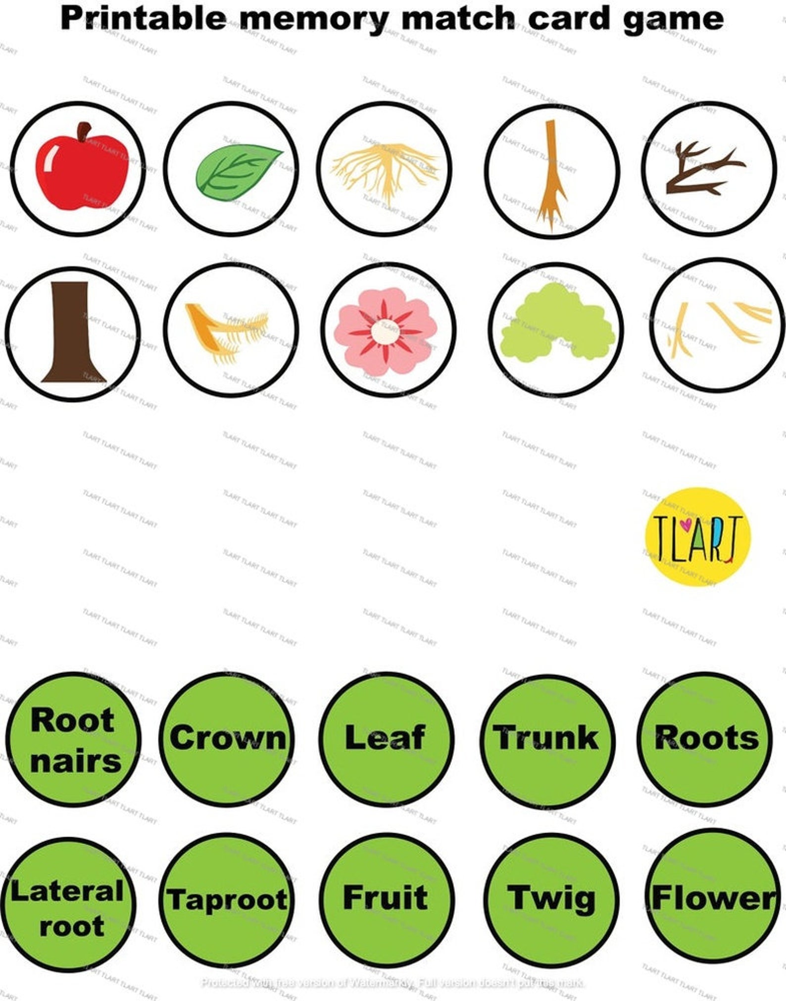 Parts of Tree, Labelling Activity, Early Year,nursery, Primary School ...