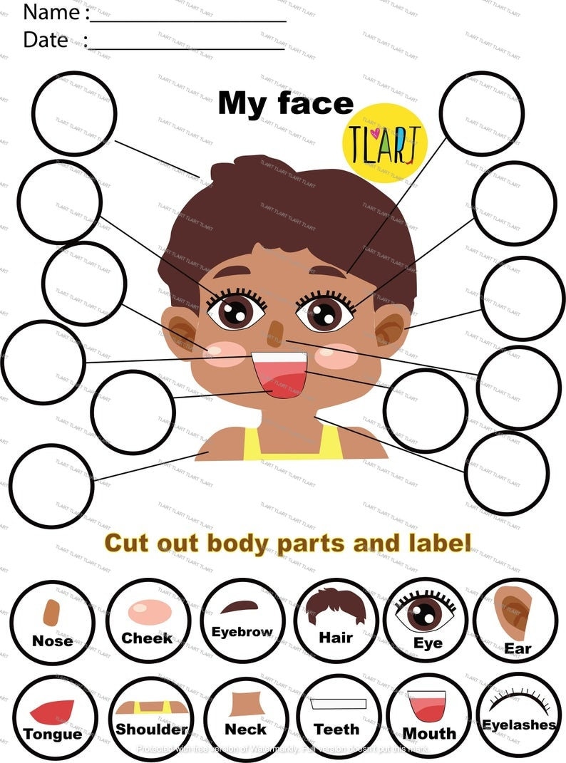My Face Parts Labelling Activity, Early Year, Nursery, KS1, Teaching ...