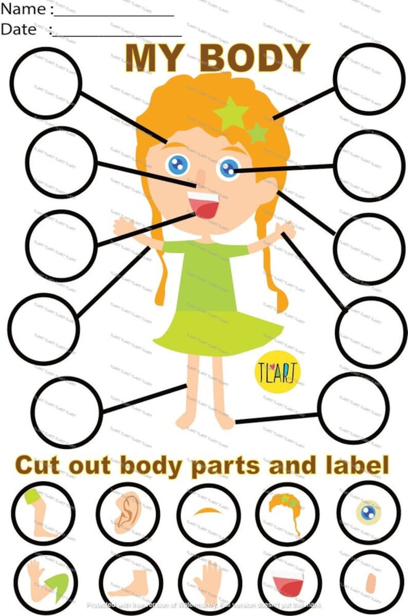 My Body Parts Labelling Activity, Early Year, Nursery, KS1, Teaching ...