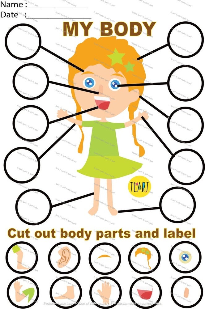 My Body Parts Labelling Activity, Early Year, Nursery, KS1, Teaching ...