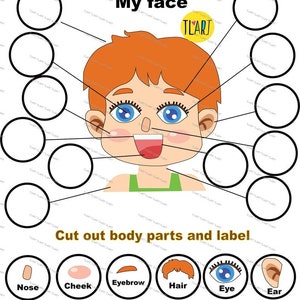 My Face Parts Labelling Activity, Early Year, Nursery, KS1, Teaching ...