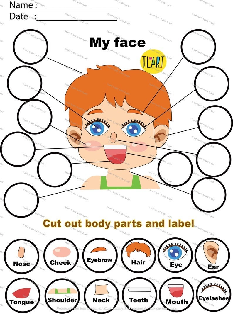 My Face Parts Labelling Activity, Early Year, Nursery, KS1, Teaching ...
