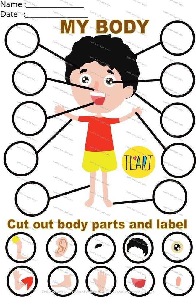 My Body Parts Labelling Activity, Early Year, Nursery, KS1, Teaching ...