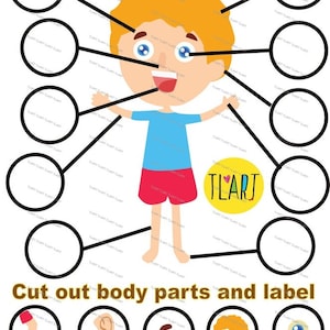 My Body Parts Labelling Activity, Early Year, Nursery, KS1, Teaching ...