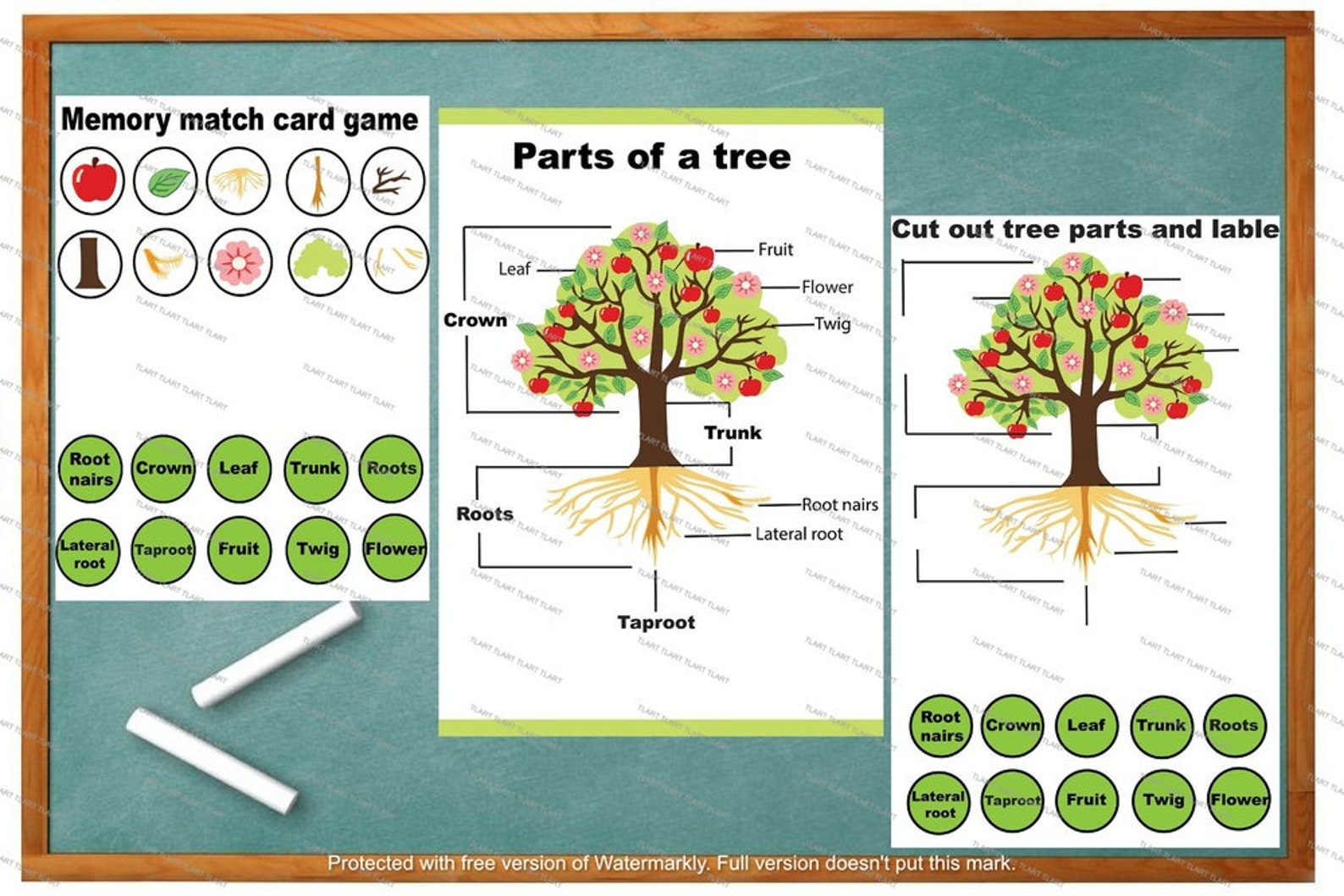Partes de árbol, Actividad de etiquetado, Principios del año, Guardería ...