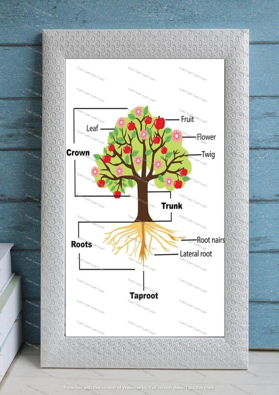 Parts of Tree, Labelling Activity, Early Year,nursery, Primary School ...