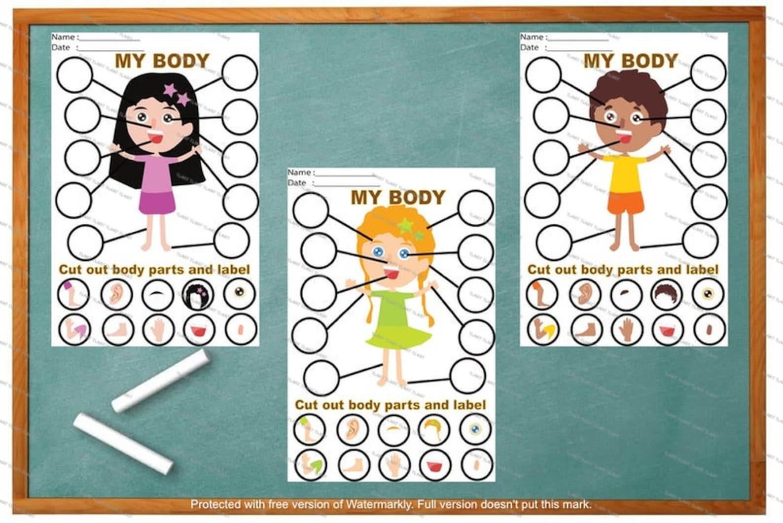 My Body Parts Labelling Activity, Early Year, Nursery, KS1, Teaching ...