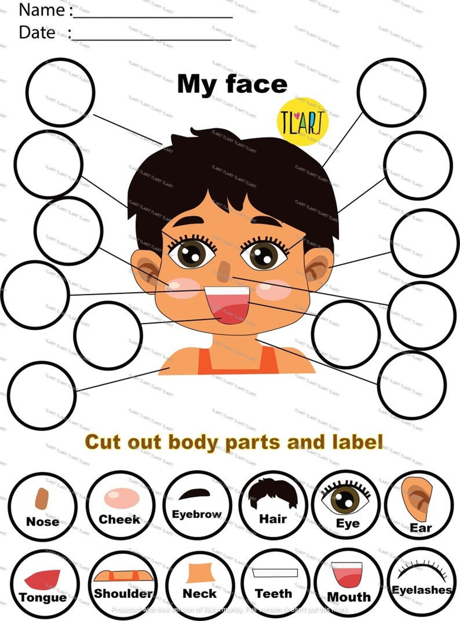 My Face Parts Labelling Activity, Early Year, Nursery, KS1, Teaching ...