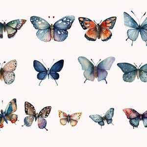 70 Watercolor Butterfly PNG Images Clipart Set for DIY Projects and ...