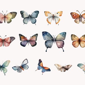 70 Watercolor Butterfly PNG Images Clipart Set for DIY Projects and ...