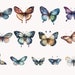 70 Watercolor Butterfly PNG Images Clipart Set for DIY Projects and ...