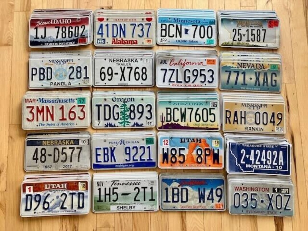 Bulk Set of 100 License Plates- 20 Versions, 5 of Each in Craft ...