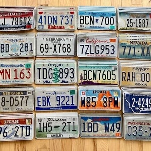 Bulk Set of 100 License Plates- 20 Versions, 5 of Each in Craft ...