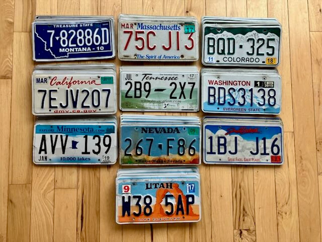 Bulk Lot of 50 License Plates From 10 Different States - 5 of Each ...