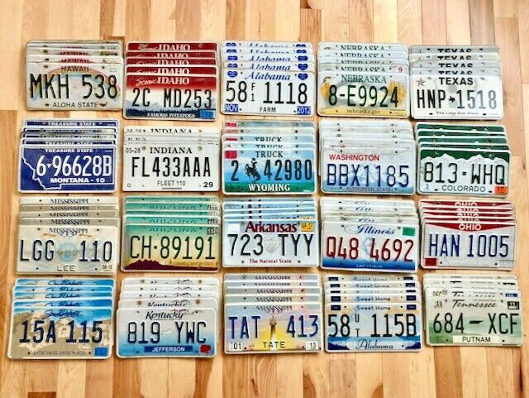 Bulk Set of 100 License Plates- 20 Versions, 5 of Each in Craft ...