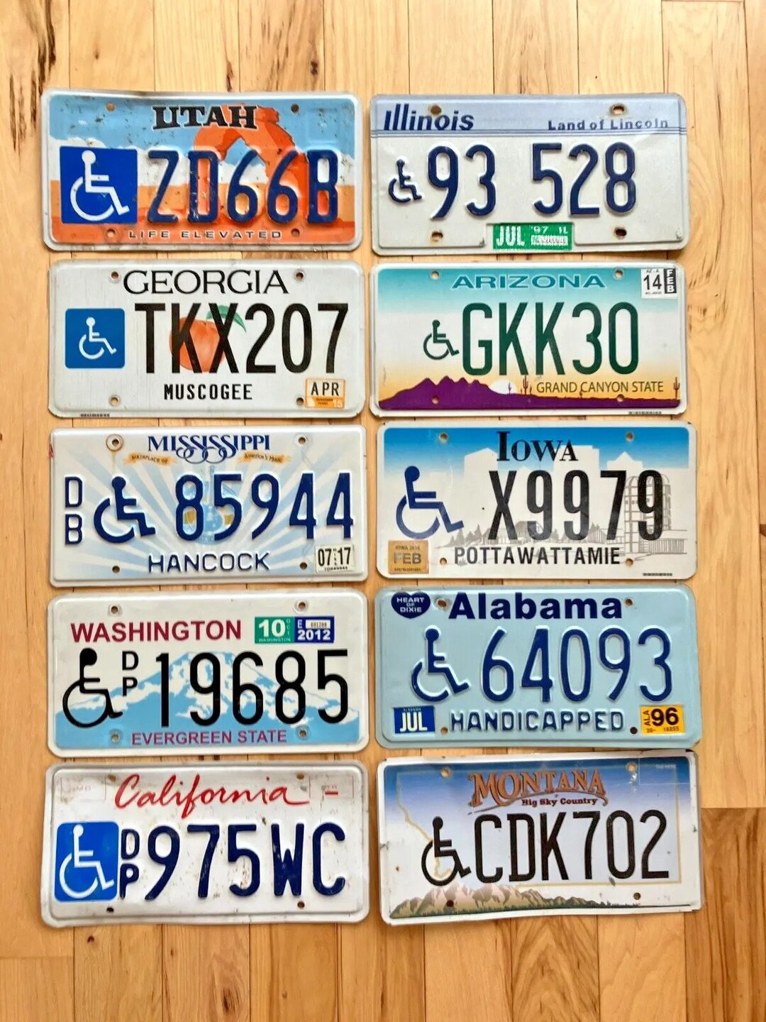 10 Craft Condition Handicapped/disabled License Plates From 10 ...
