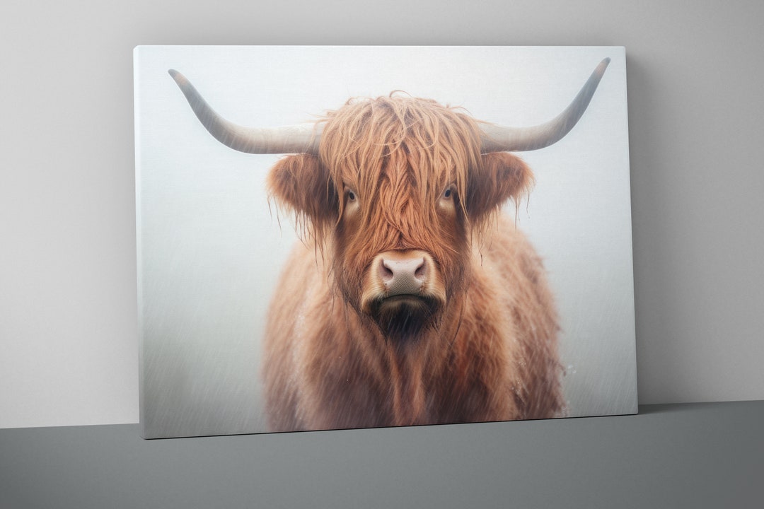 Highland Cow Wall Art Highland Cow Decor Wall Art Print Highland Cow ...