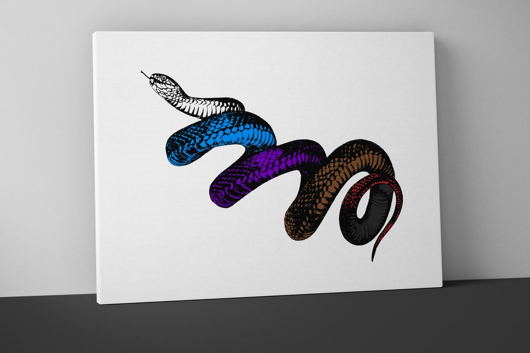 Jiu Jitsu Snake Mounted Canvas - BJJ Wall Art - Brazilian - Belt Colors ...