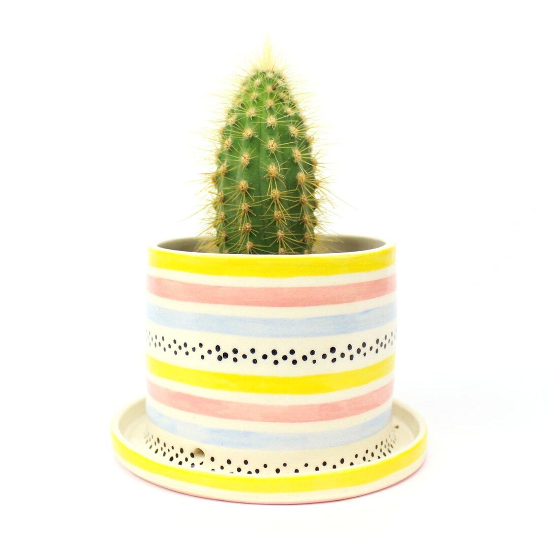 MADE TO ORDER: Stripe Planters - Etsy