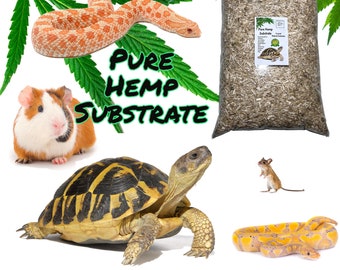 Tortoise Plaque, Tortoise Sign, Personalised Tortoise Sign, Tortoise ...