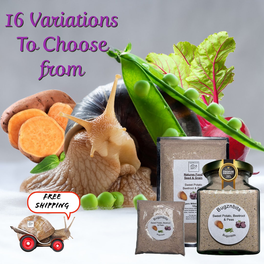 Giant African Land Snail Food for Giant Land Snails & Garden Snails ...