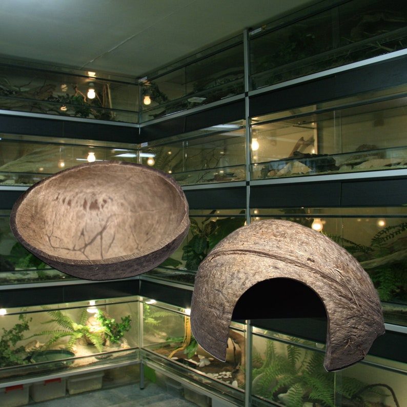 Hide and Shed Pack Great for Small Snakes and Lizards Like - Etsy UK