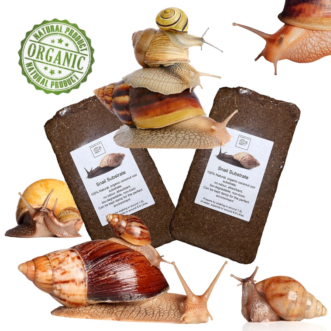 Land Snail Soil, Giant African Land Snail Substrate, TWIN PACK, 100% ...