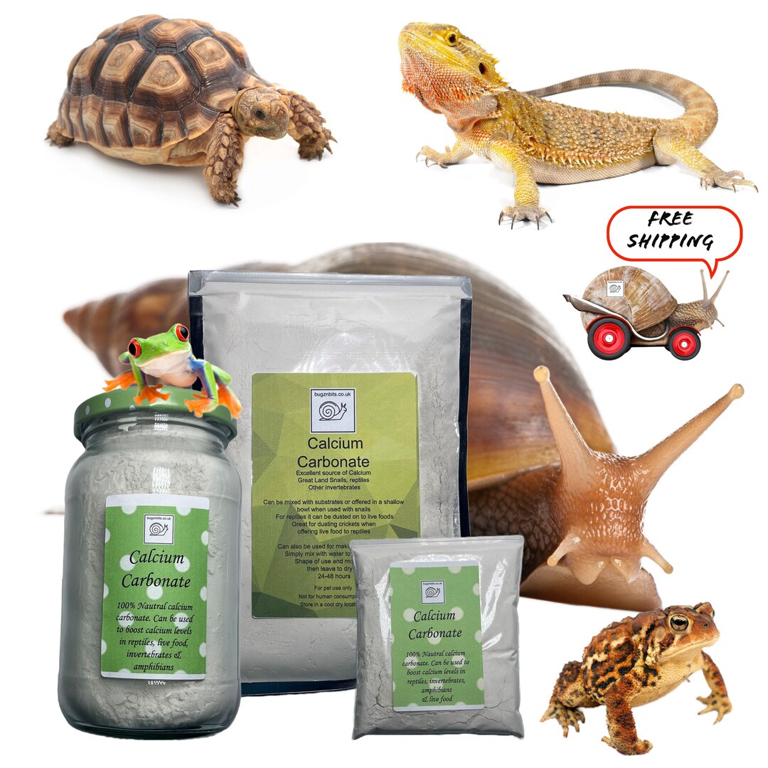 Calcium Carbonate, Calci Powder for Giant African Land Snails, Reptiles ...