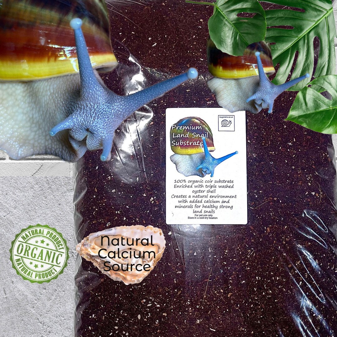 Premium Giant African Land Snail Substrate, Coco-coir With Natural ...
