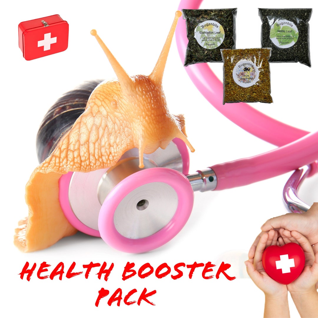 Giant African Land Snail, Health Booster Pack, to Aid Weak or Retracted ...