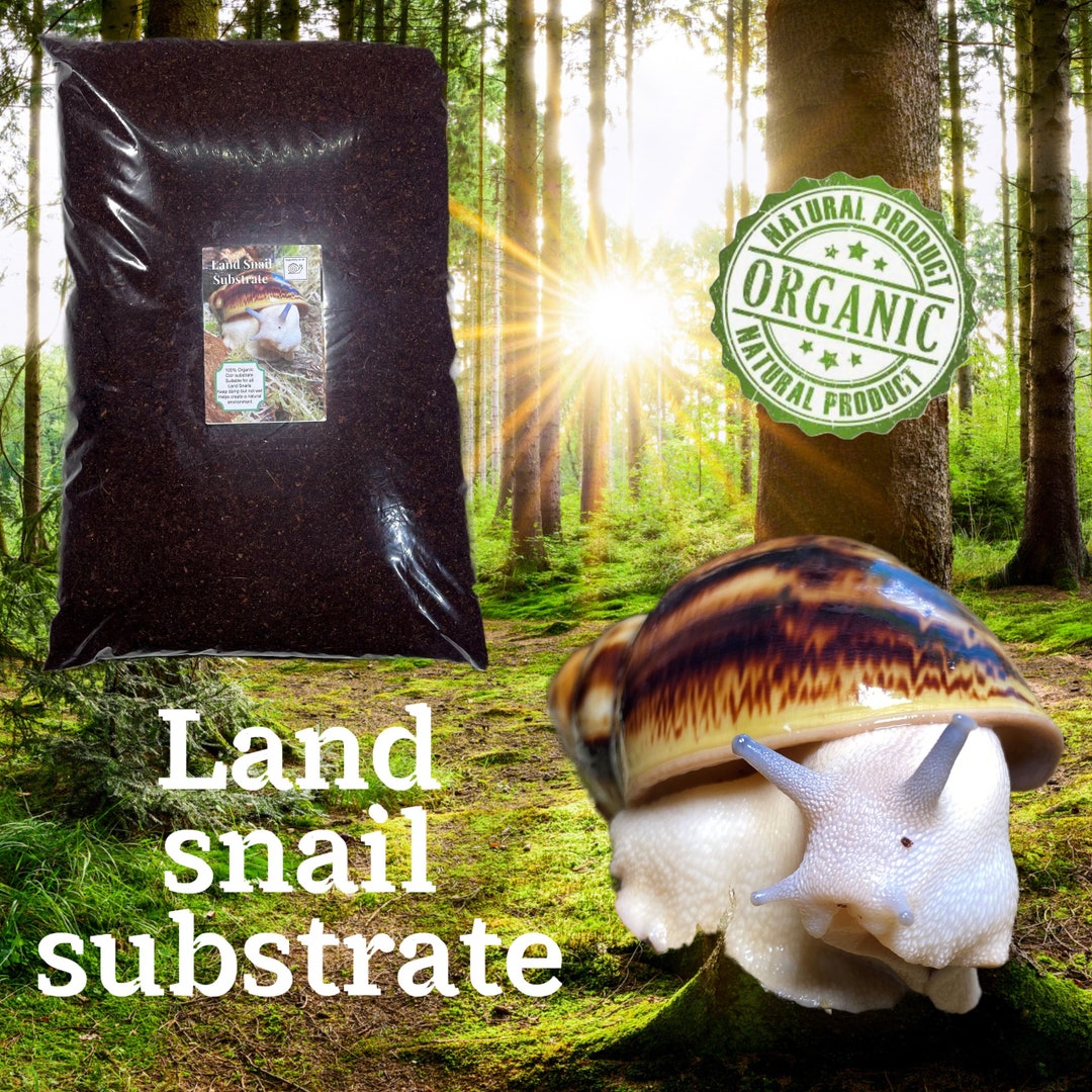 Land Snail Substrate, Coco-coir, Snail Soil for Vivarium, Prepared and ...