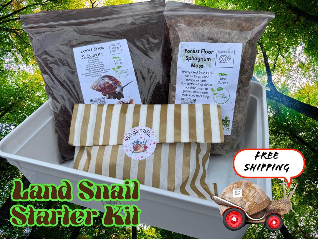 Land Snail Starter Kit for Giant African Land Snails and UK Garden ...