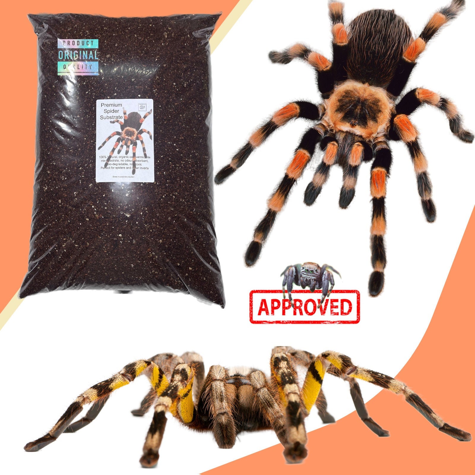 Spider Soil Tarantula Substrate PREMIUM GRADE Great for - Etsy UK