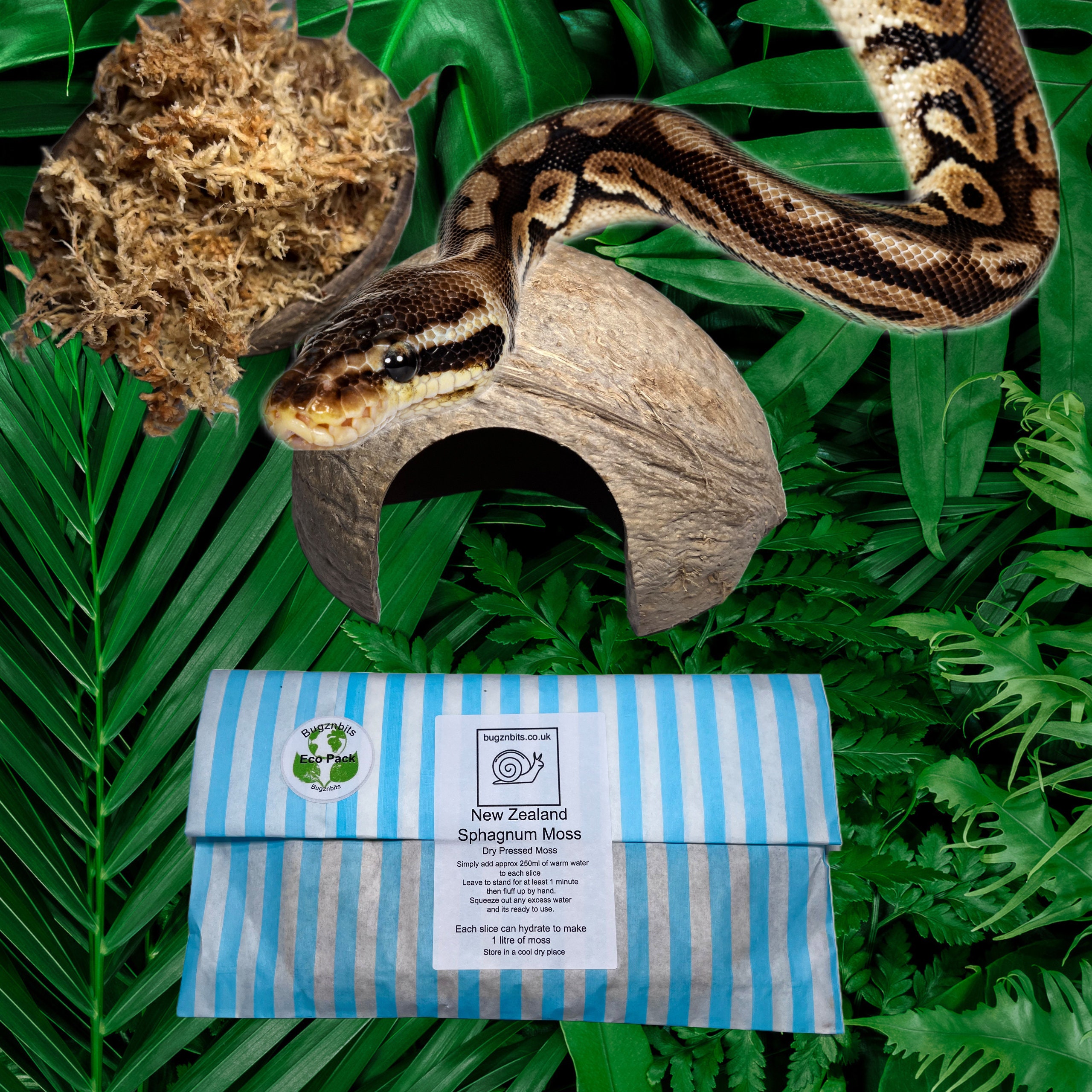 Hide and Shed Pack Great for Small Snakes and Lizards Like - Etsy UK