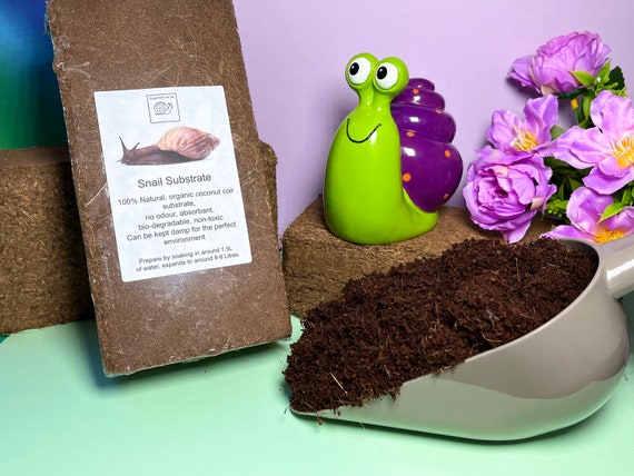Snail Soil Snail Substrate 100% Organic Coco-coir Block 8-9L - Etsy