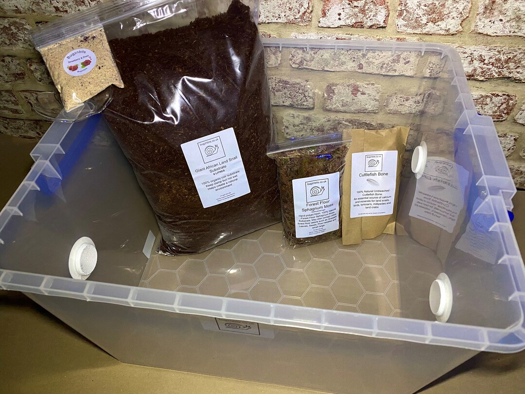 33.5L Giant African Land Snail Tank, Land Snail Set Up, Basic Kit With ...