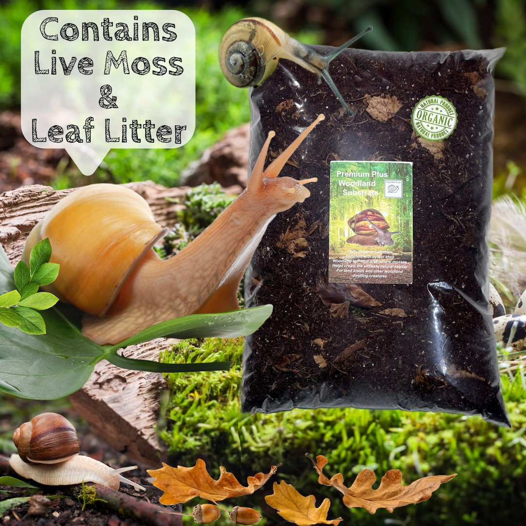 Premium Plus + Woodland, Giant African Land Snail Substrate, Coco-coir ...