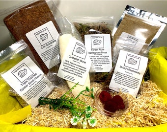 Giant African Land Snail Starter Kit | Etsy UK