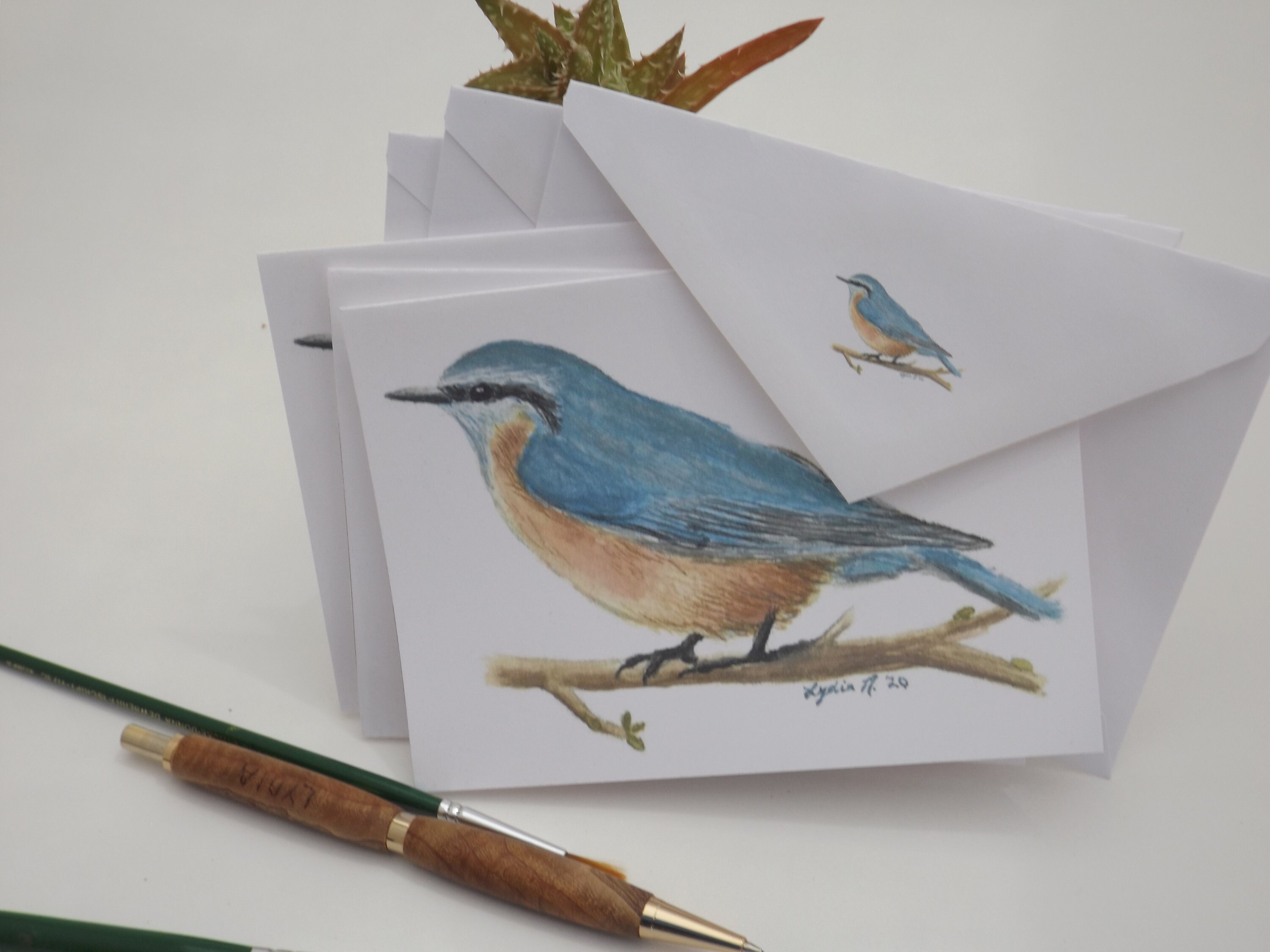 Hand Painted Bird Note Card Set: Chickadee, Nuthatch, Warbler, Bluebird ...