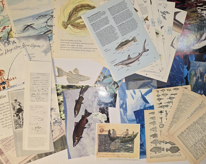 Vintage Fishing and Fish Ephemera Bundle 40+ Pieces for Art Journal ...