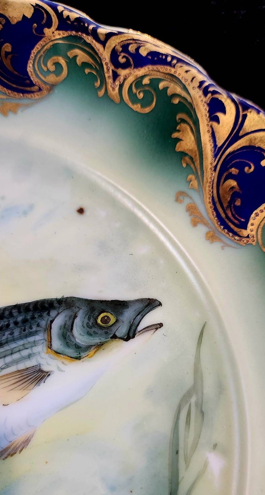 Beautiful Fish Plates Hand Painted UNMARKED - Etsy