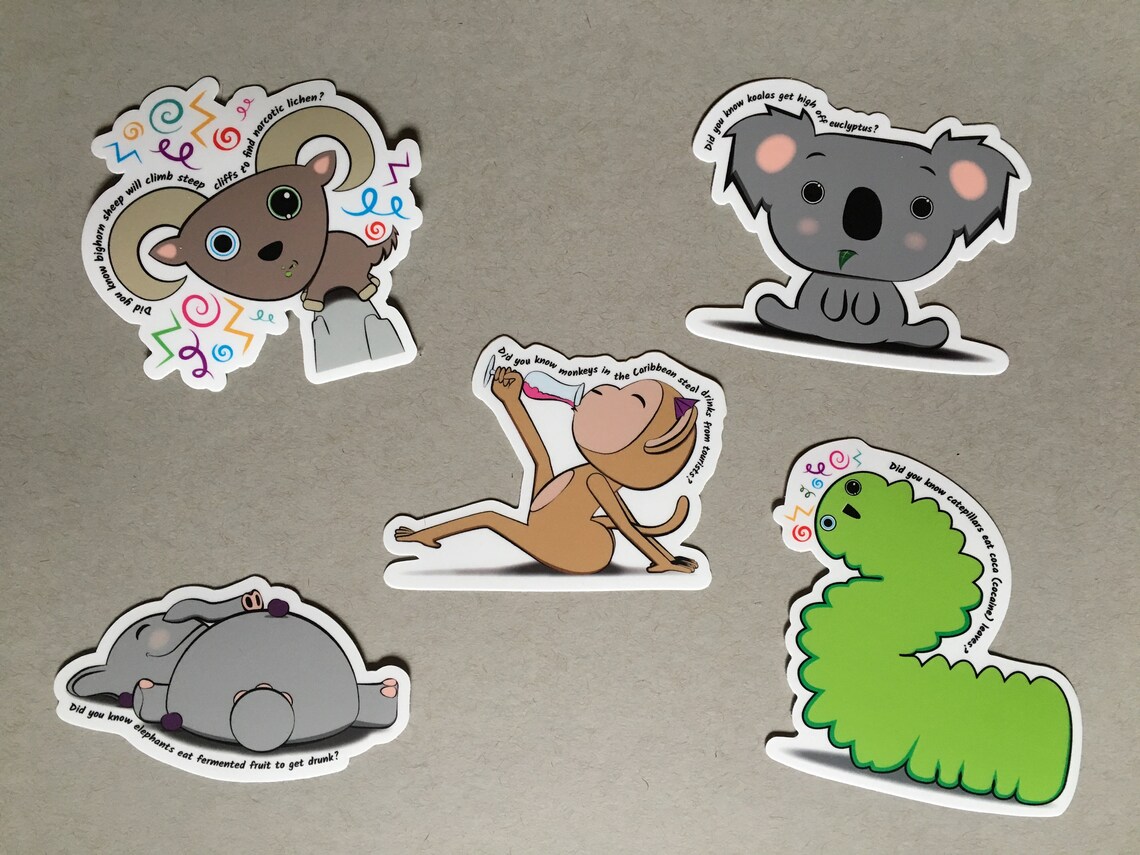 Fun Fact Animal Stickers - Etsy