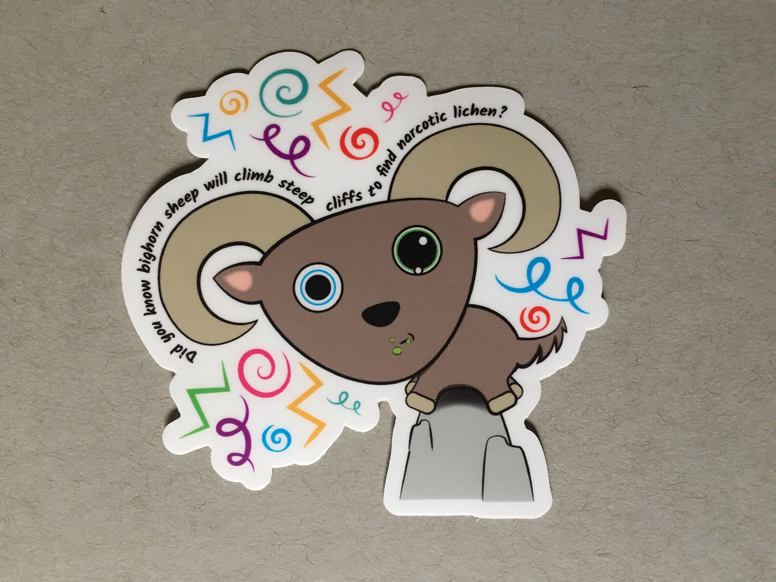 Fun Fact Animal Stickers - Etsy