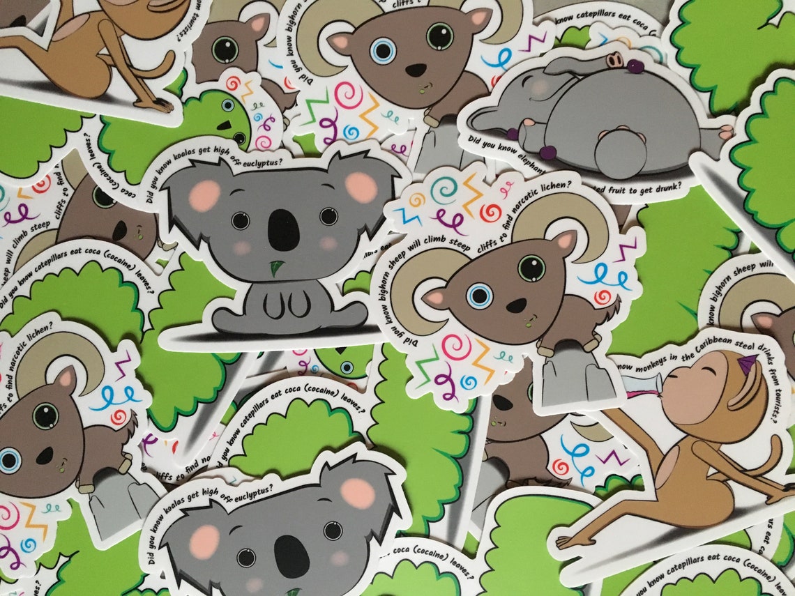 Fun Fact Animal Stickers - Etsy