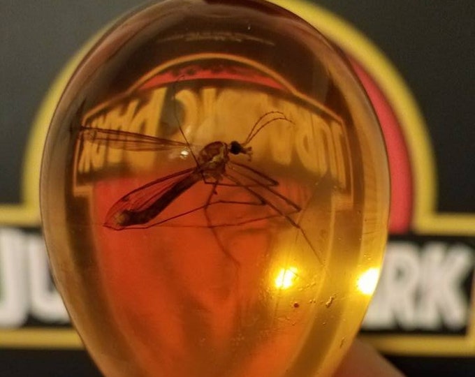 Jurassic Park John Hammond Amber Cane Topper - Etsy