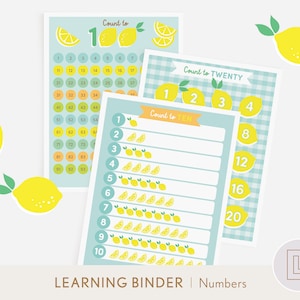 Counting Numbers Learning Printable 10, 20, 100, Learning Binder ...